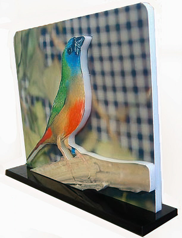 Photo Cutouts, Sculptures, Statuettes, Ornaments, Magnets and more ...